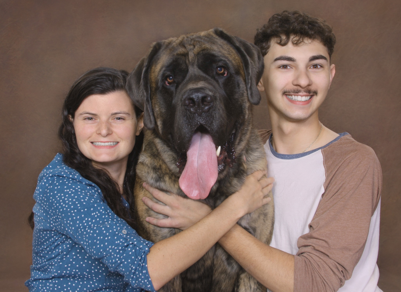 Meet Koda: The Mighty Bullmastiff - Patrick Nau Photography